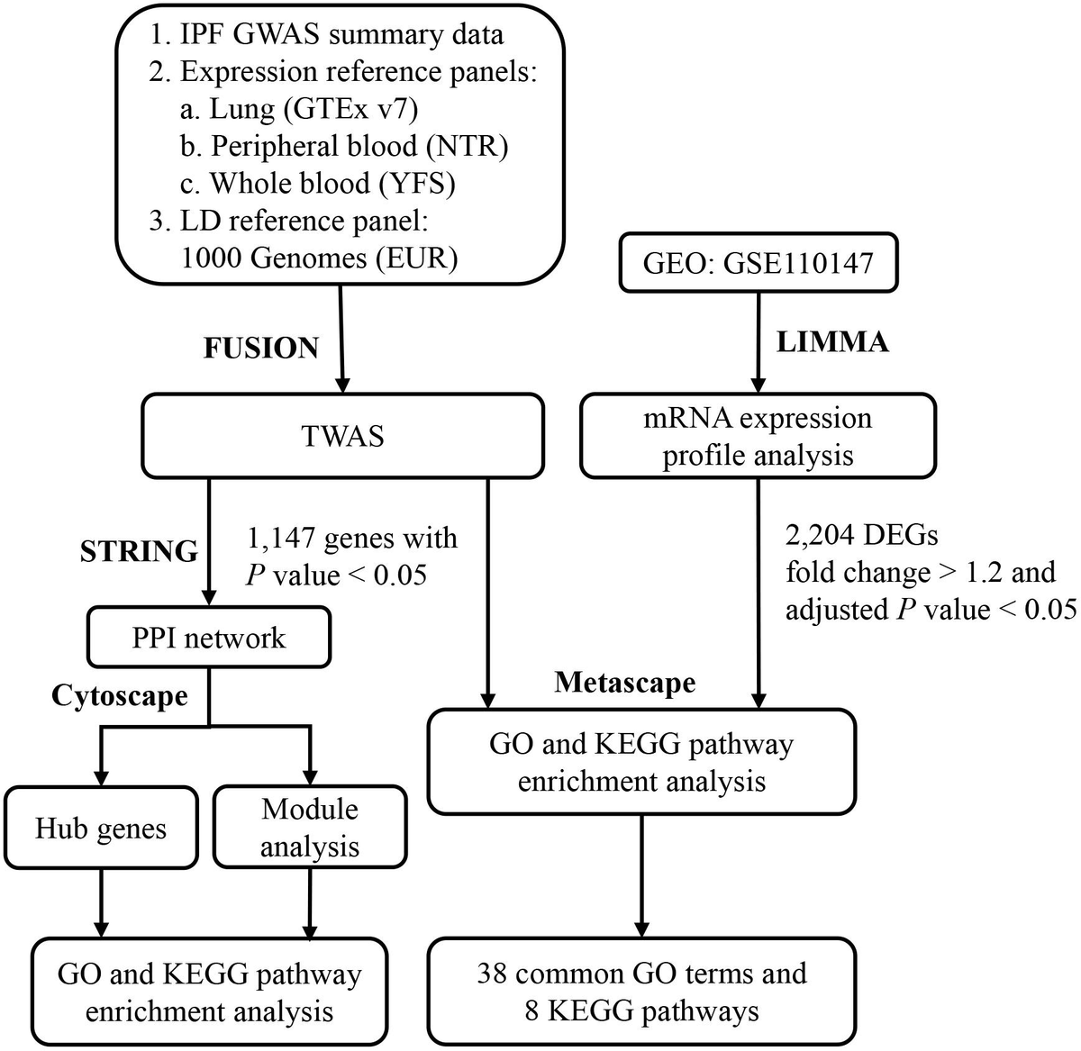 Frontiers | Integrative Analysis of Transcriptome-Wide Association ...
