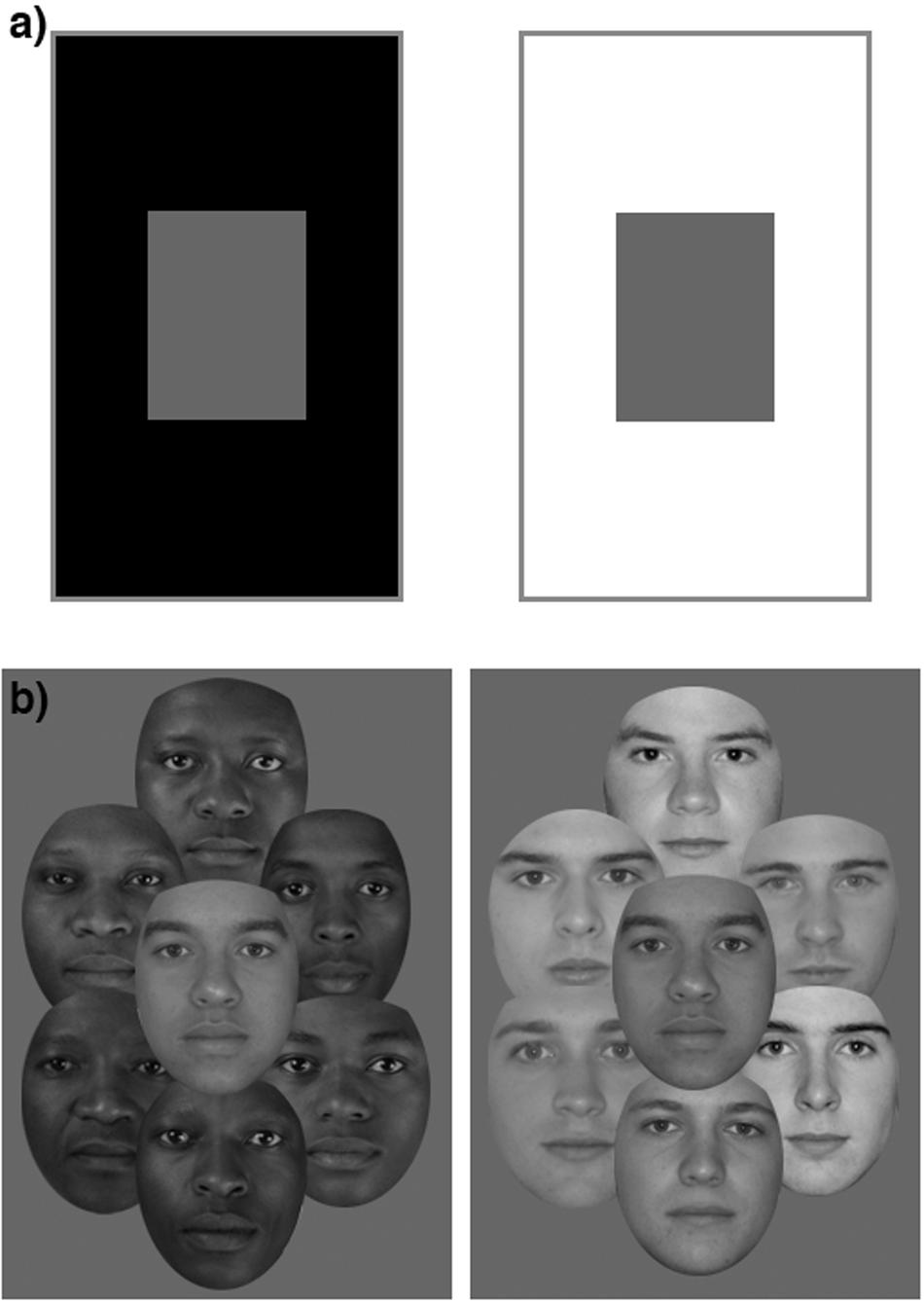 Frontiers | Shining a Light on Race: Contrast and Assimilation Effects ...