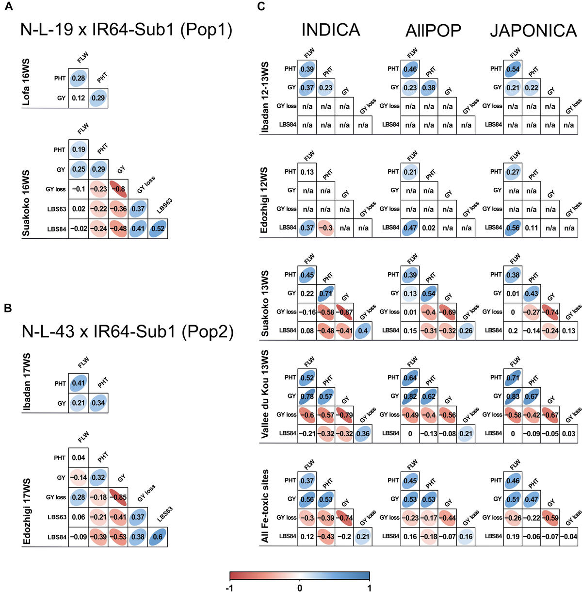 Frontiers | Multiple Small-Effect Alleles of Indica Origin Enhance High ...