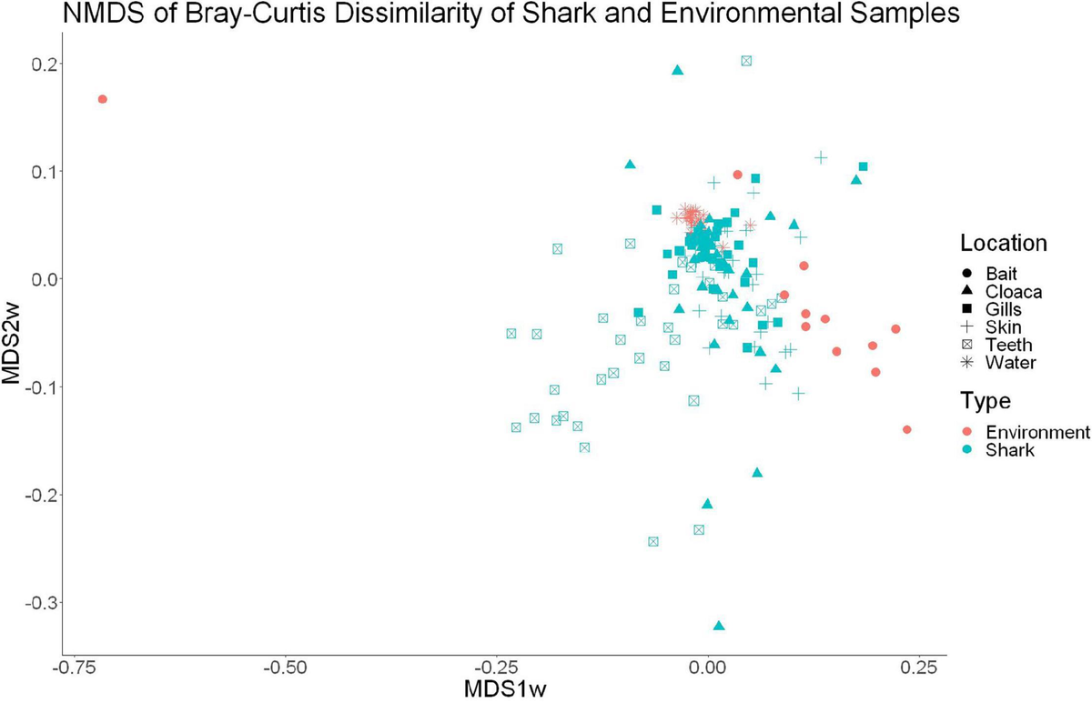 Frontiers | Microbiome Analyses Demonstrate Specific Communities Within ...