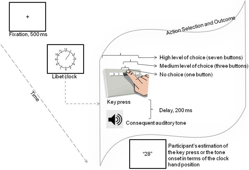 Frontiers | Freedom, choice, and the sense of agency