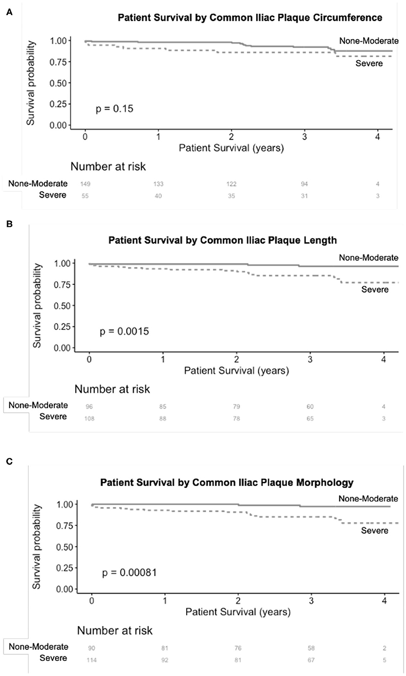 Frontiers | Utility of a Simplified Iliac Artery Calcium Scoring System ...