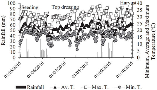 Frontiers | Inoculation With Growth-Promoting Bacteria Azospirillum ...
