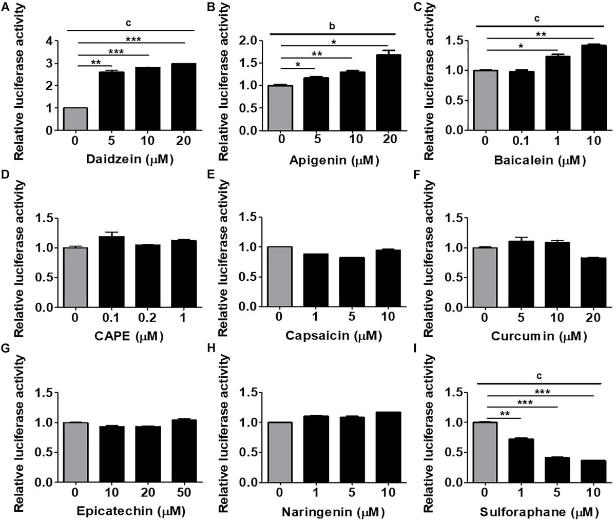 Frontiers | A Rapid and Highly Predictive in vitro Screening Platform for Osteogenic Natural ...