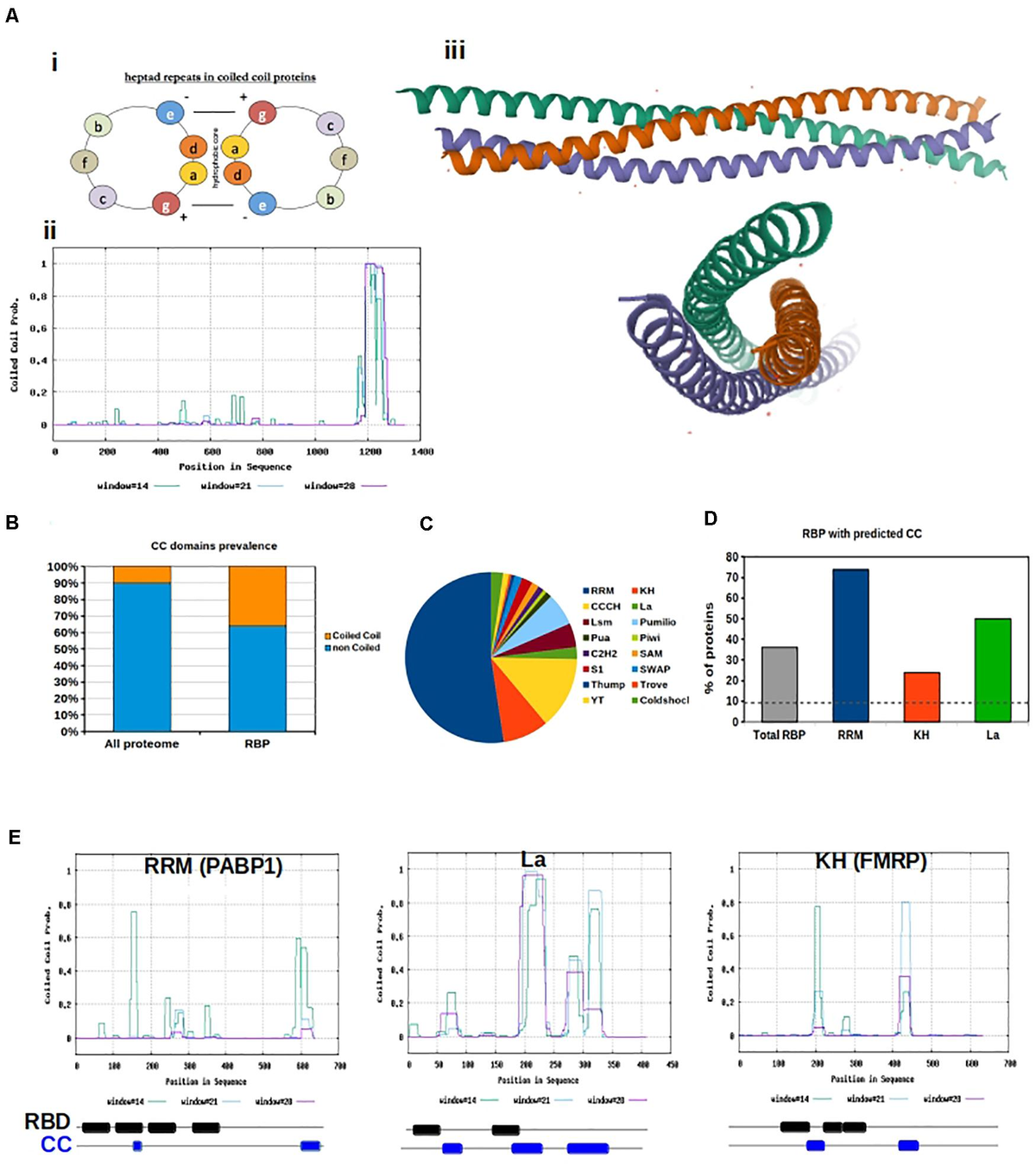 Frontiers | Coiled-Coil Motifs of RNA-Binding Proteins: Dynamicity in ...