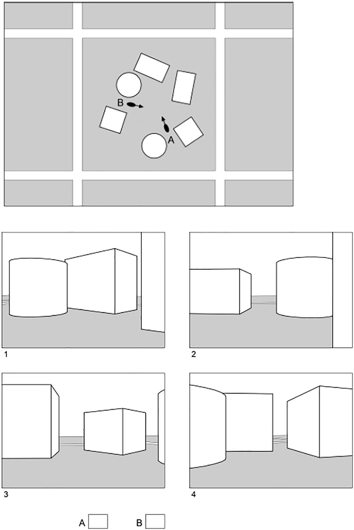 Frontiers | Spatial Abilities for Architecture: Cross Sectional and ...