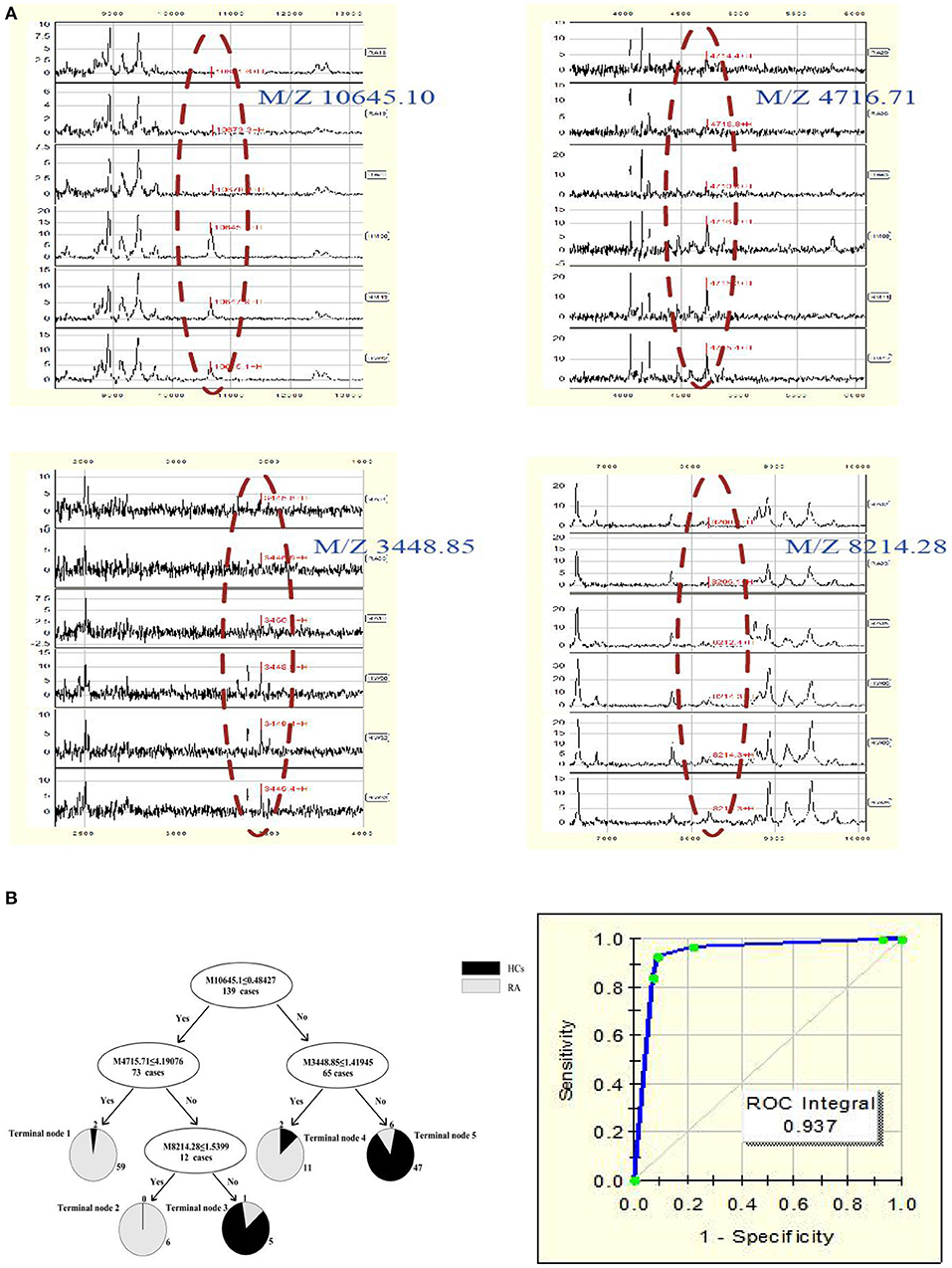Frontiers | Establishing Classification Tree Models in Rheumatoid ...