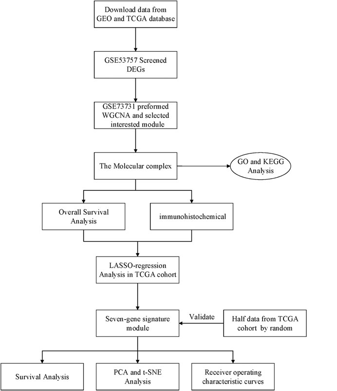 Frontiers Development And Validation Of A Prognostic Gene Signature