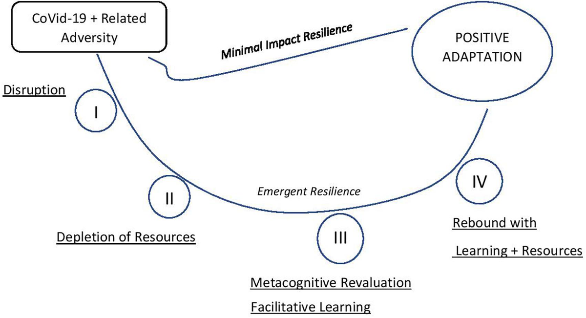 Frontiers | Sporting Resilience During COVID-19: What Is the Nature of ...