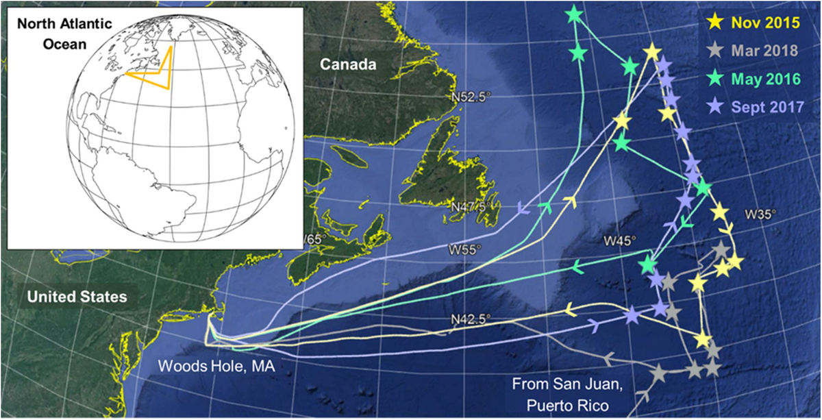 Frontiers | Seasonal and Spatial Variability in the Biogenic Production ...
