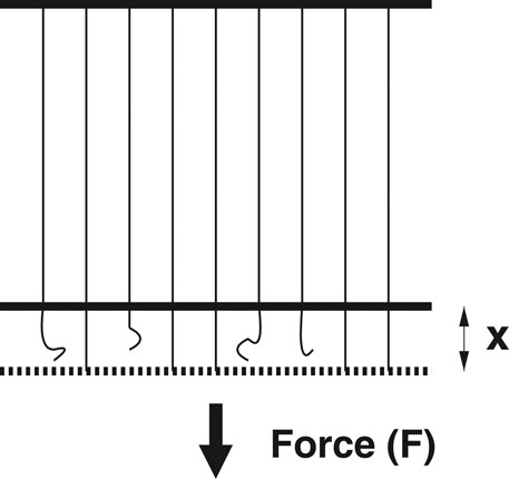 Frontiers | Cooperative Dynamics in the Fiber Bundle Model