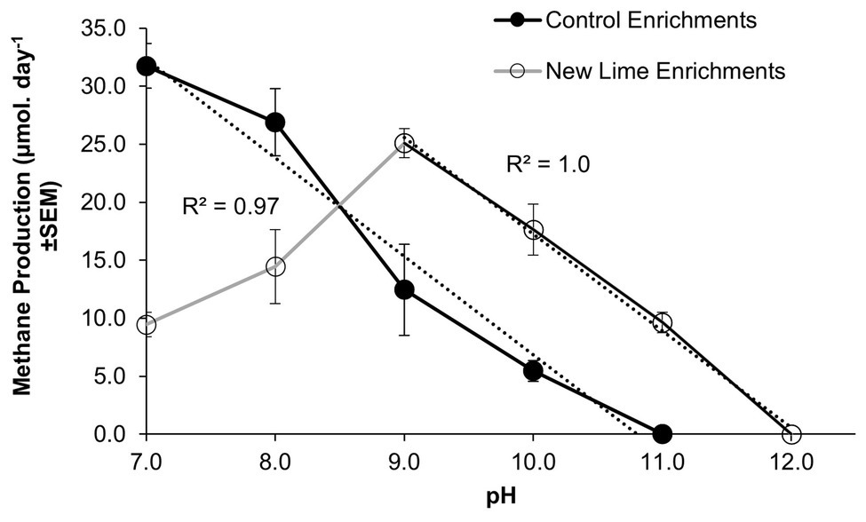 Frontiers | Hydrogenotrophic Methanogenesis Under Alkaline Conditions