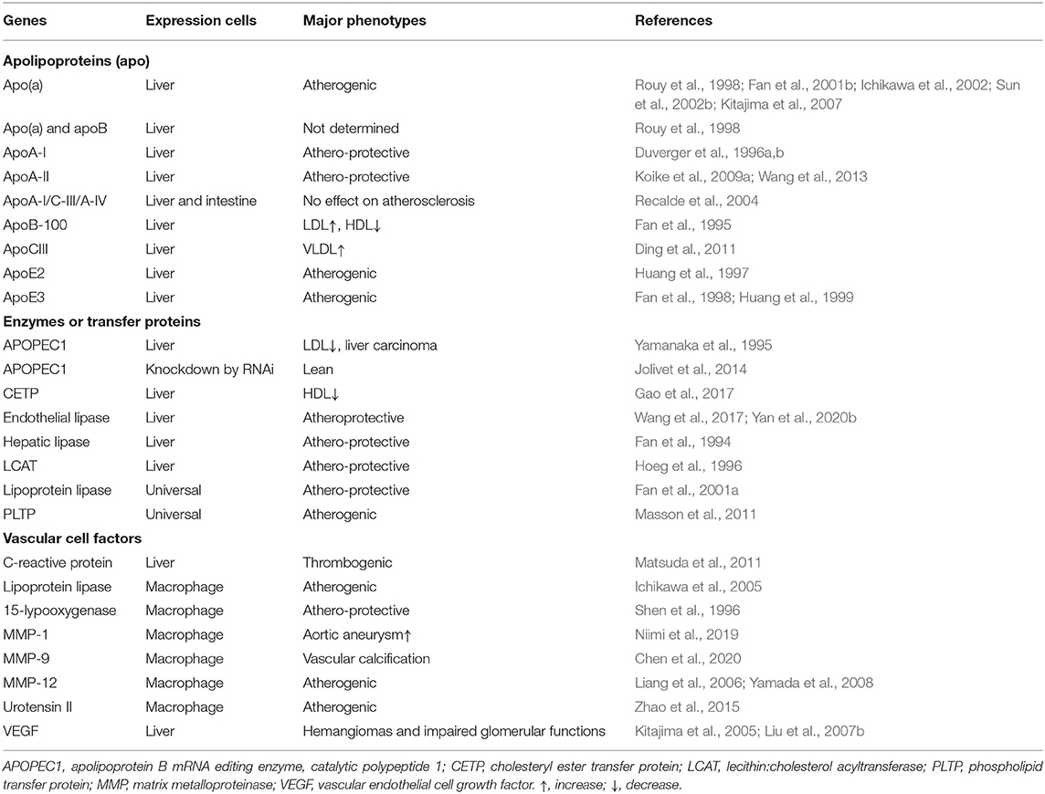 Frontiers | Genetically Modified Rabbits for Cardiovascular Research