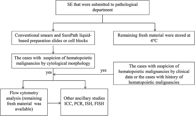 Frontiers | Serous Effusions Diagnostic Accuracy for Hematopoietic ...