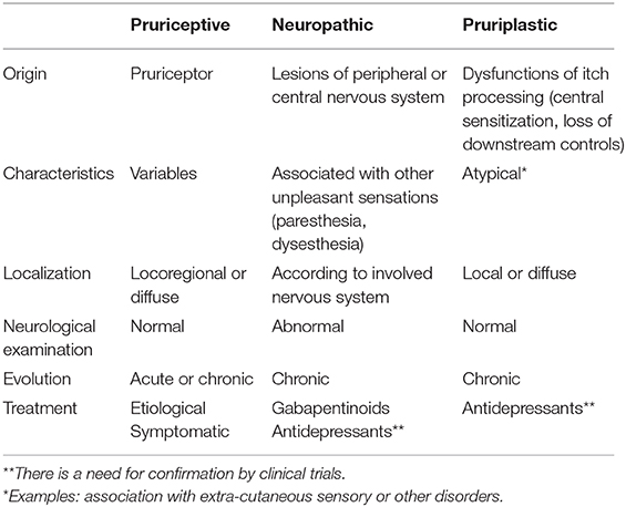 Frontiers | Pruriplastic Itch—A Novel Pathogenic Concept in Chronic ...