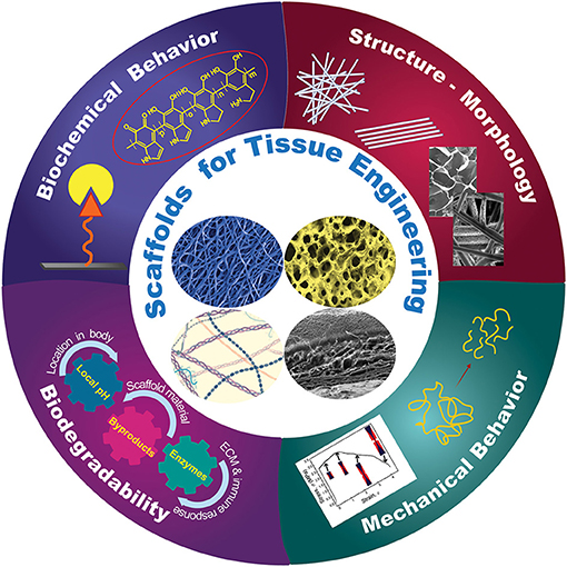 Frontiers | Design Challenges in Polymeric Scaffolds for Tissue Engineering
