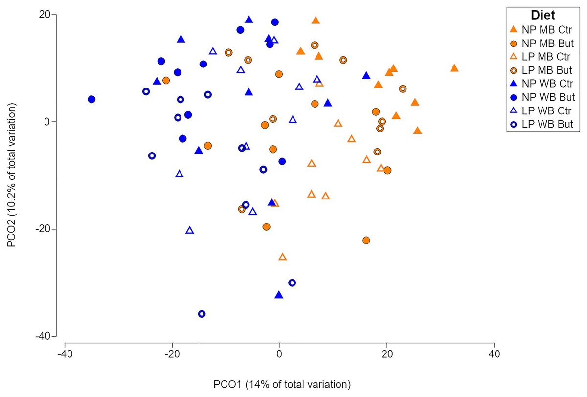 Frontiers | Caeca Microbial Variation in Broiler Chickens as a Result ...