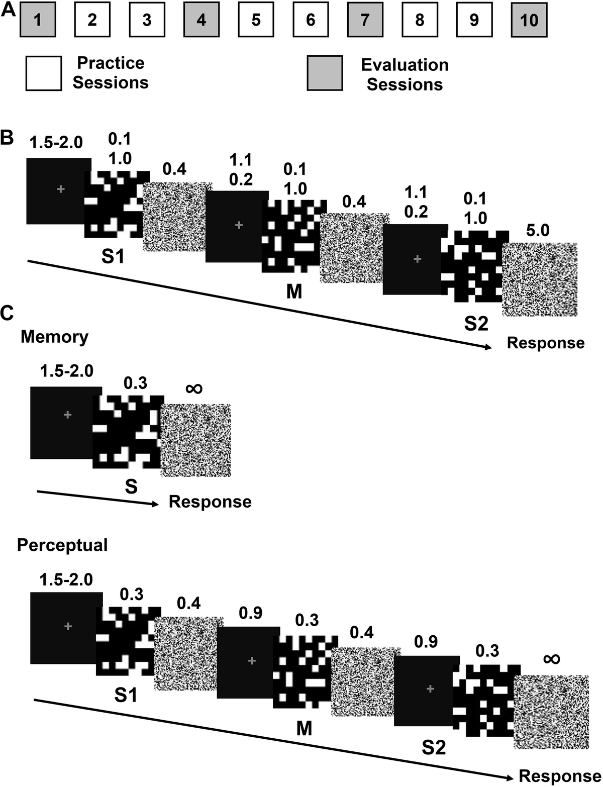 Frontiers | Early Visual Processing and Perception Processes in Object ...