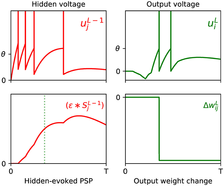 Frontiers | Supervised Learning With First-to-Spike Decoding in ...