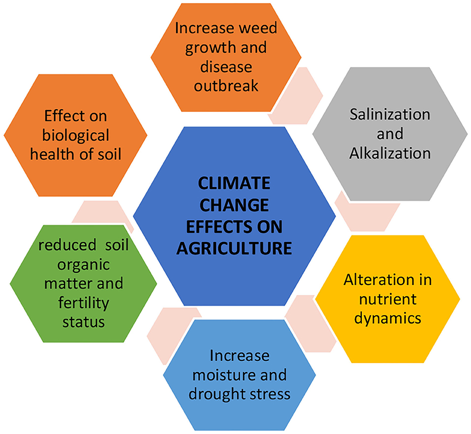 Frontiers | Climate Change and Salinity Effects on Crops and Chemical ...