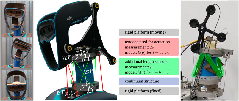 Frontiers | Fault-Tolerant Six-DoF Pose Estimation for Tendon-Driven Continuum Mechanisms