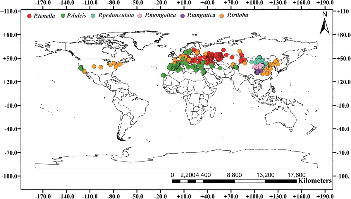 Frontiers | Current Situation, Global Potential Distribution and ...