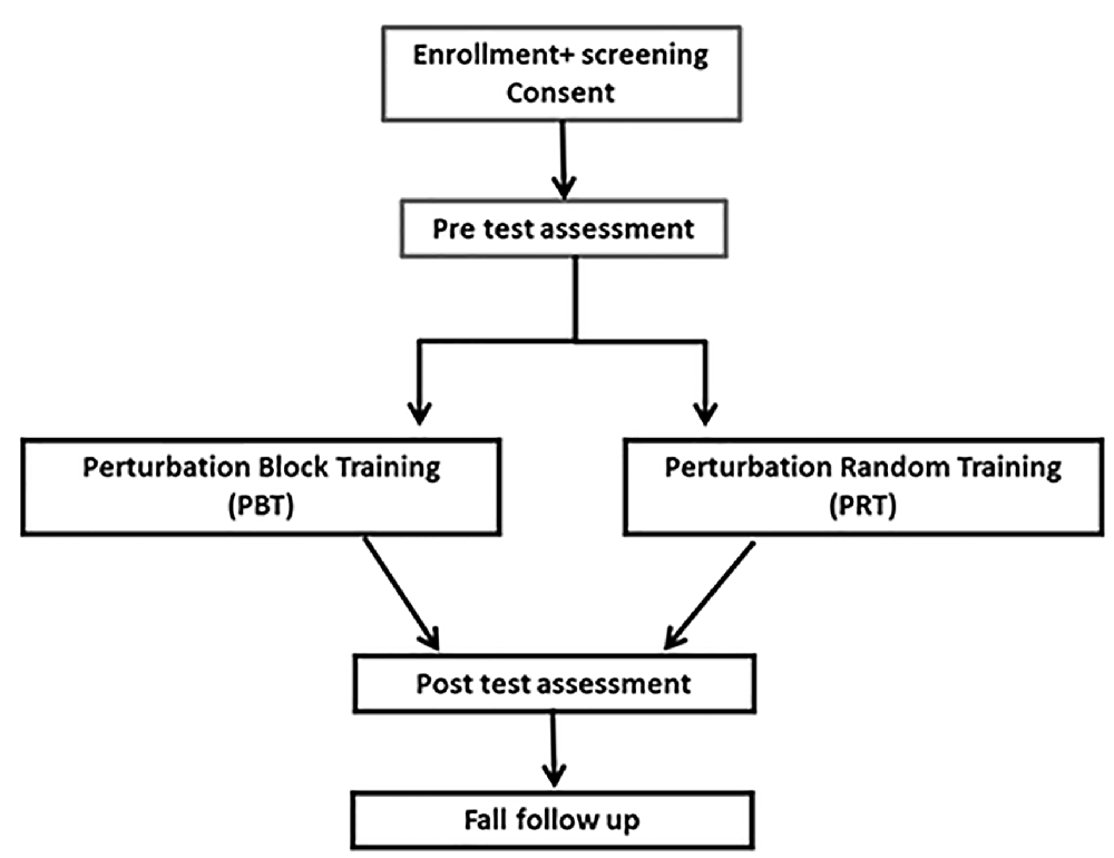 Frontiers | Examining Different Motor Learning Paradigms for Improving ...