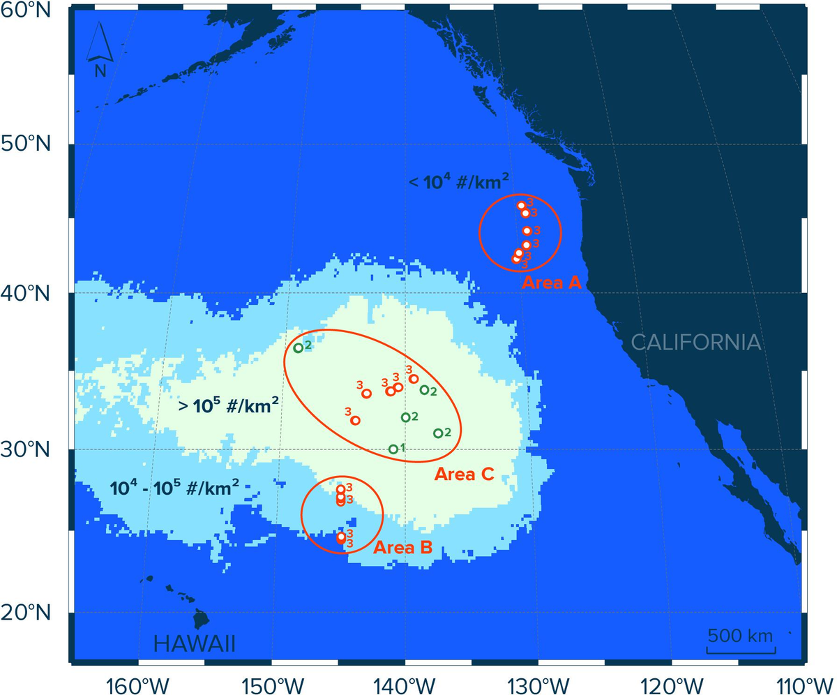 Frontiers | Relative Abundance of Floating Plastic Debris and Neuston ...