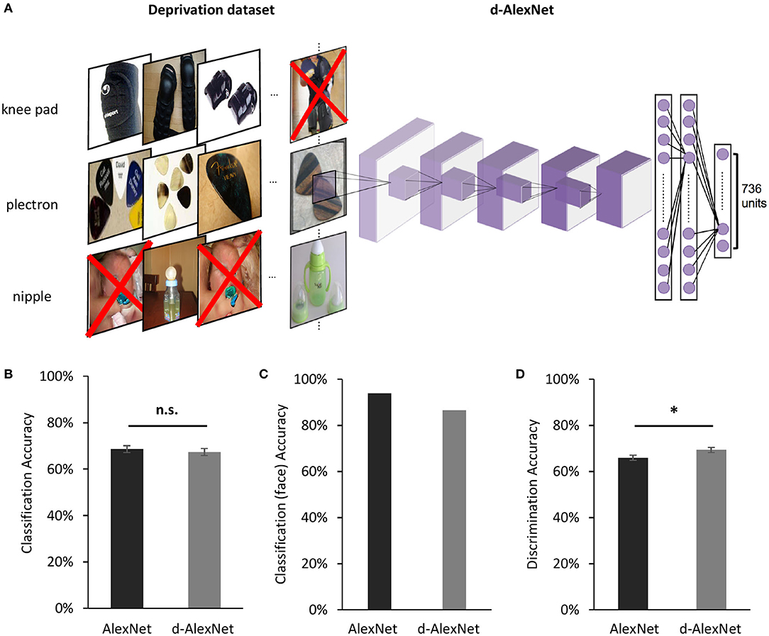 Frontiers | The Face Module Emerged in a Deep Convolutional Neural ...