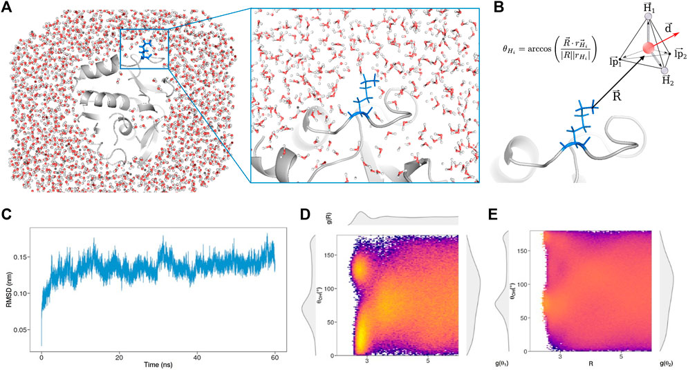 Frontiers | Characterizing Hydropathy of Amino Acid Side Chain in a ...