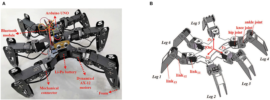 Frontiers | Adaptive Locomotion Control of a Hexapod Robot via Bio ...