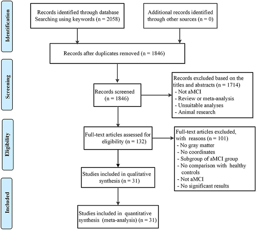 Frontiers | Gray Matter Atrophy in Amnestic Mild Cognitive Impairment: A Voxel-Based Meta-Analysis