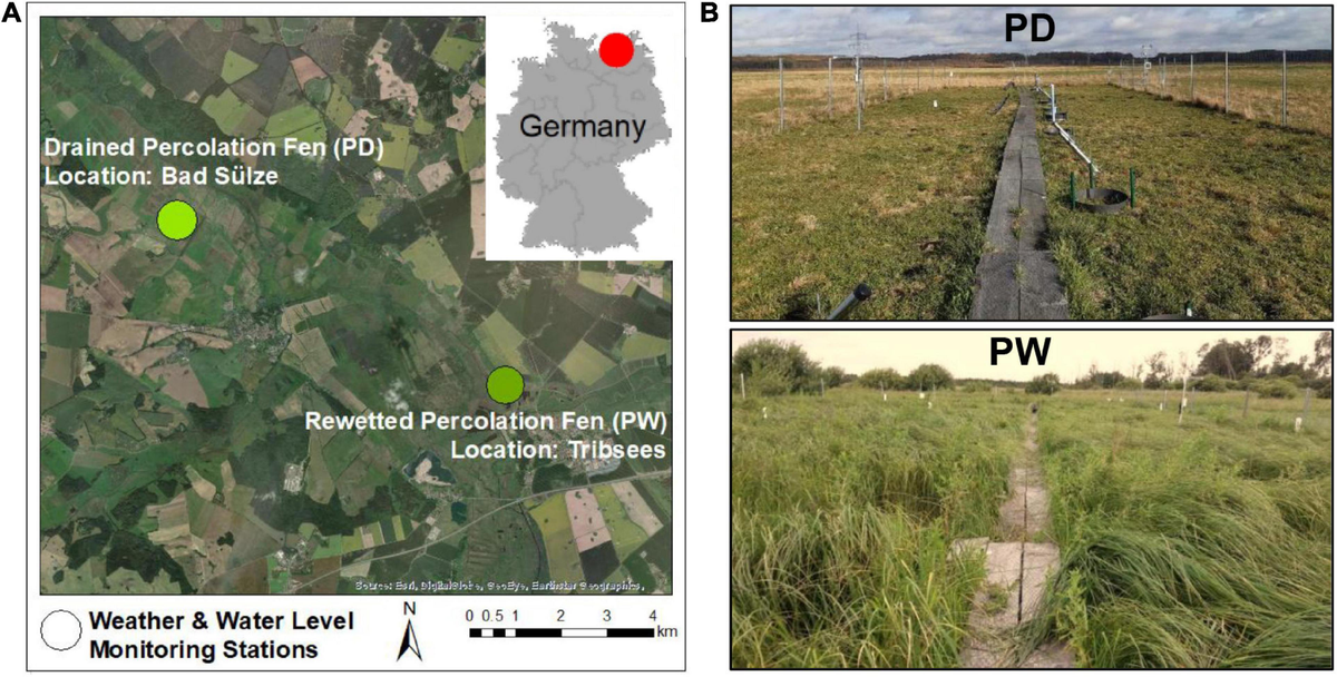 Frontiers | Meteorological Controls on Water Table Dynamics in Fen ...