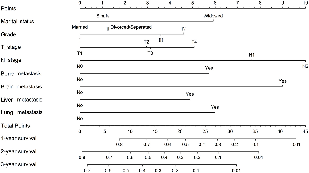 Frontiers | Identification of a Risk Stratification Model to Predict ...