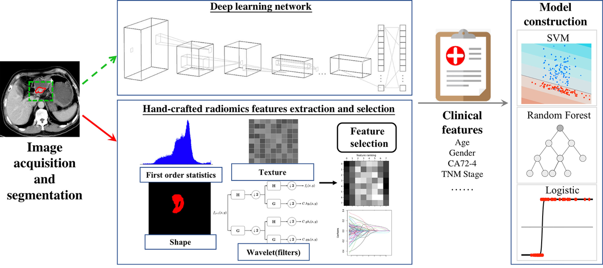 Frontiers | Artificial Intelligence in the Imaging of Gastric Cancer ...