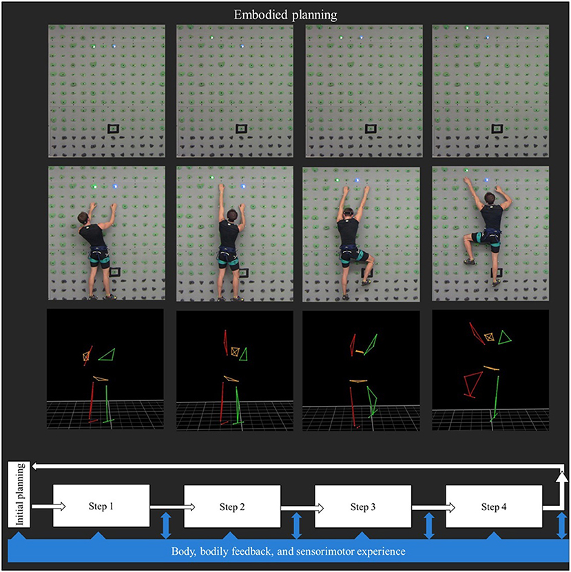 Frontiers | Movement Matters! Understanding the Developmental ...