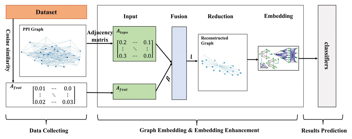 Frontiers | An Efficient Computational Model for Large-Scale Prediction ...