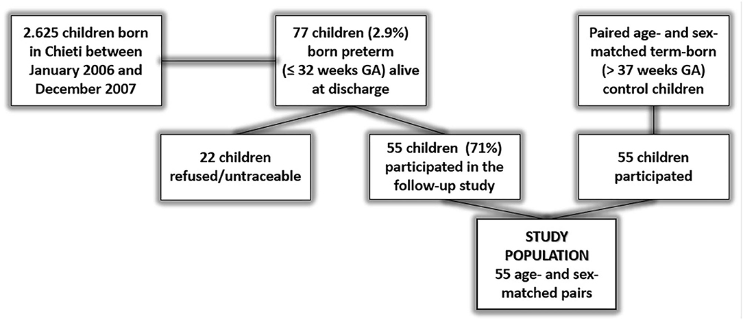Frontiers | Pulmonary Outcomes in Children Born Extremely and Very ...
