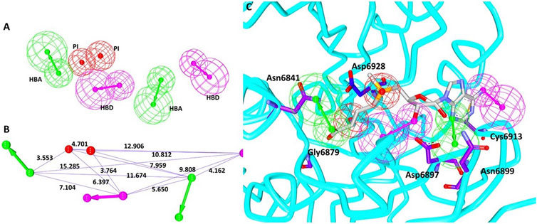 Frontiers | Pharmacophore Modelling-Based Drug Repurposing Approaches ...