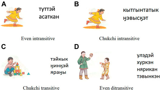 Frontiers | Complexity and Simplification in Language Shift