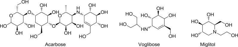 Frontiers | Discovery of New α-Glucosidase Inhibitors: Structure-Based ...