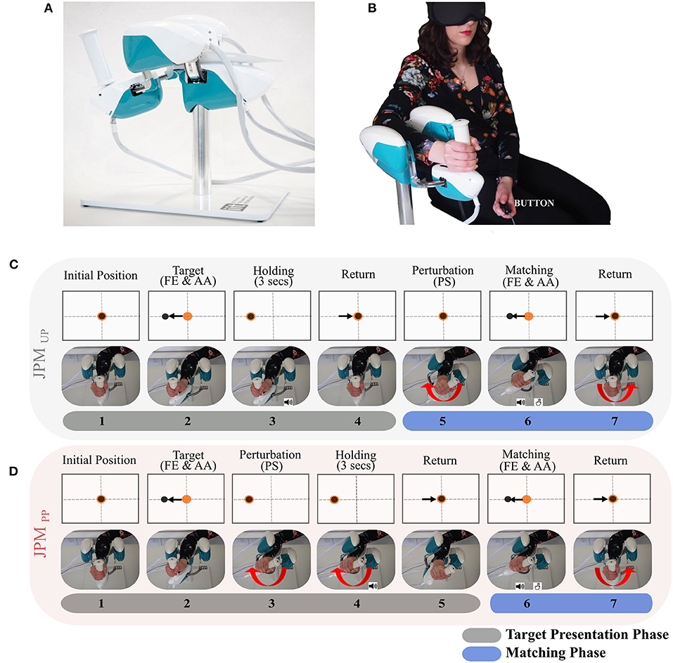 Frontiers | Robotic Assessment of Wrist Proprioception During ...