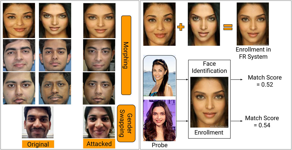Frontiers | MagNet: Detecting Digital Presentation Attacks on Face ...