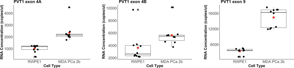 Frontiers | Prostac: A New Composite Score With Potential Predictive ...