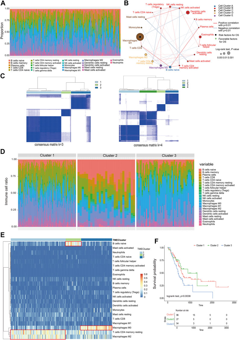 Frontiers | Tumor Microenvironment Characteristics of Pancreatic Cancer ...