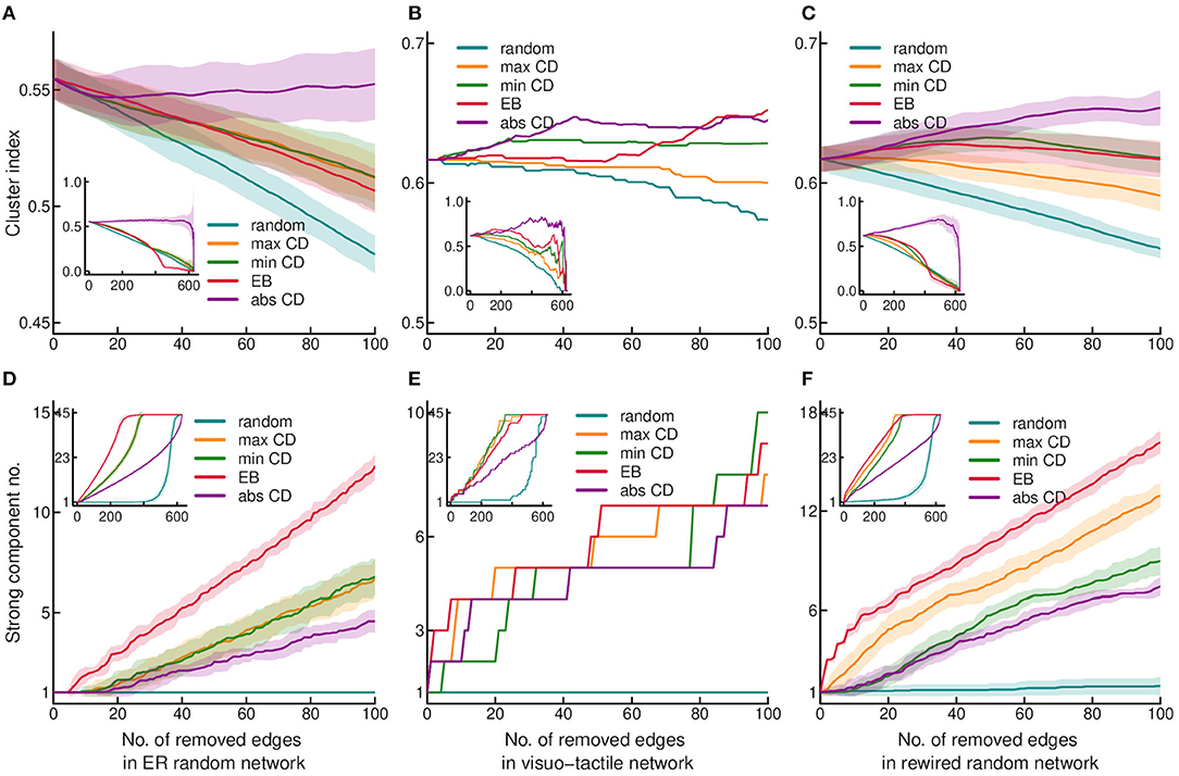 Frontiers | Network Path Convergence Shapes Low-Level Processing in the ...