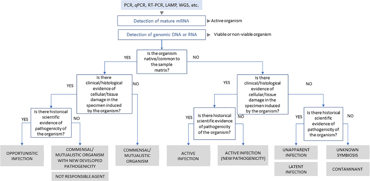 Frontiers | Harmless or Threatening? Interpreting the Results of ...