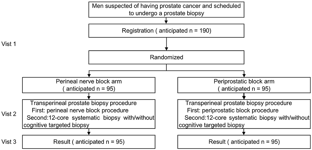 Frontiers | Anaesthesia in PROstate Biopsy Pain Obstruction Study: A ...