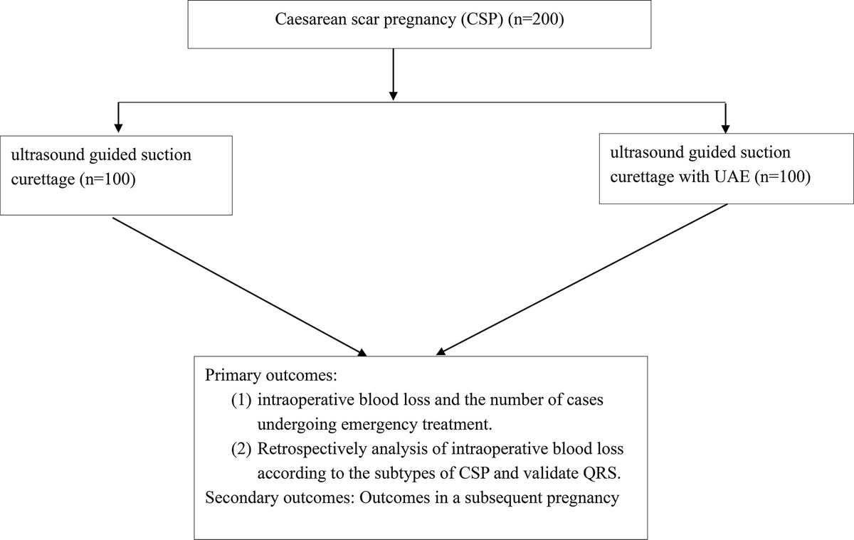 Frontiers | A Comparison of Ultrasound Guided Curettage With and ...