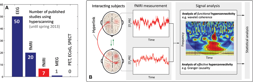 Frontiers | A new methodical approach in neuroscience: assessing inter-personal brain coupling ...